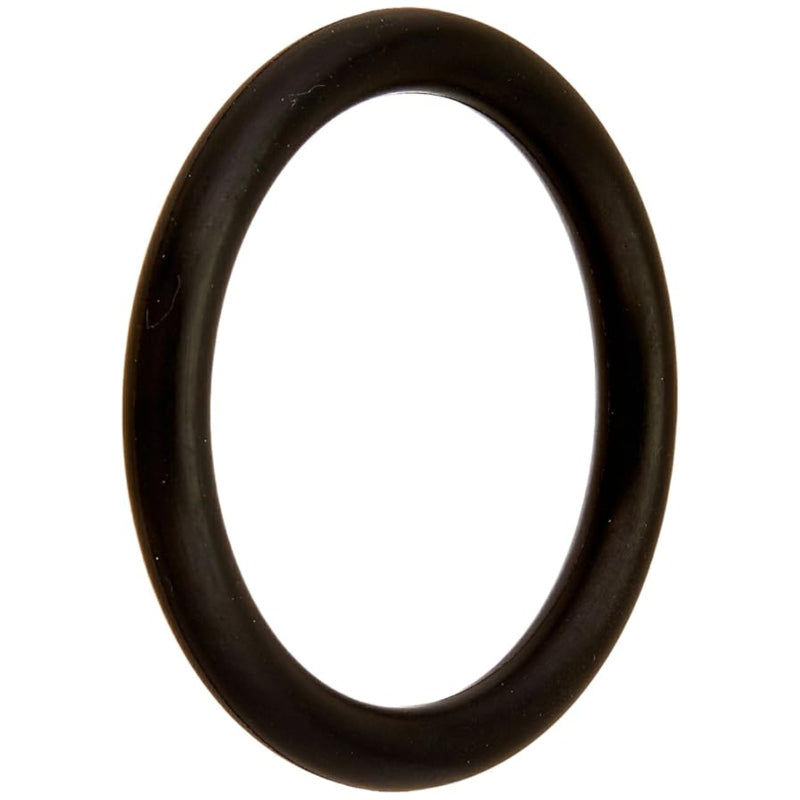 51005000-Style Drain Plug O Ring | Perfect Pool Products